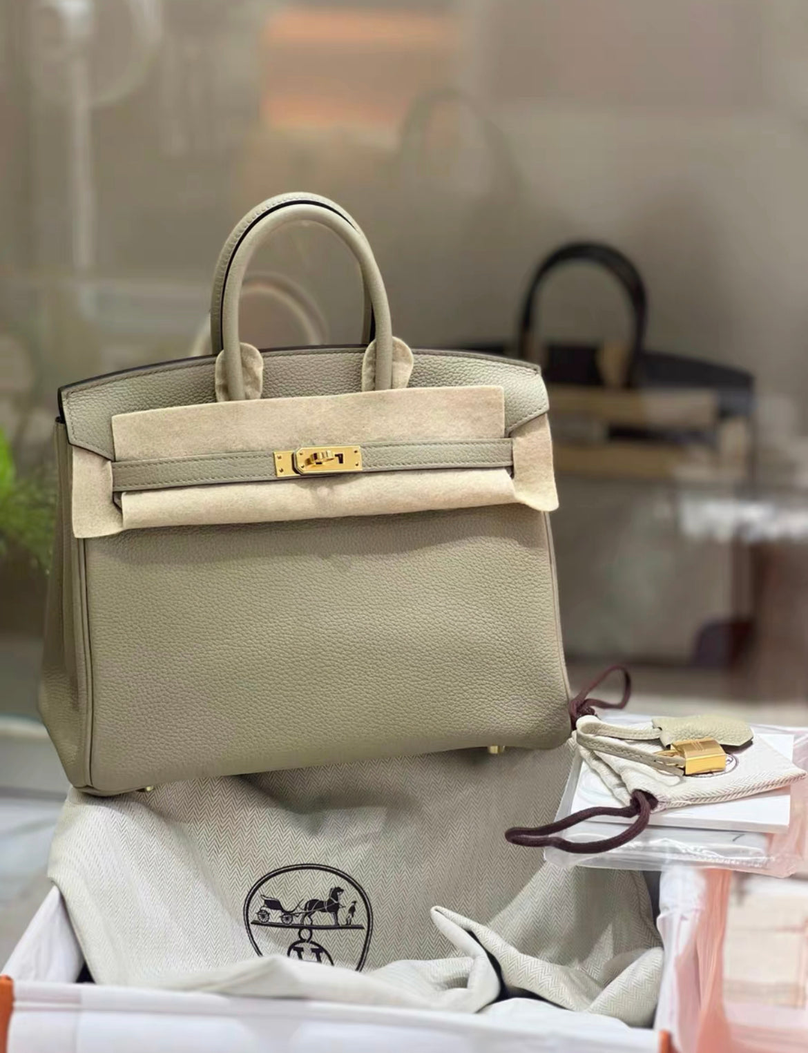 Hermes Birkin 25 Togo leather in Gris Neve - Grey with Gold Hardware ...