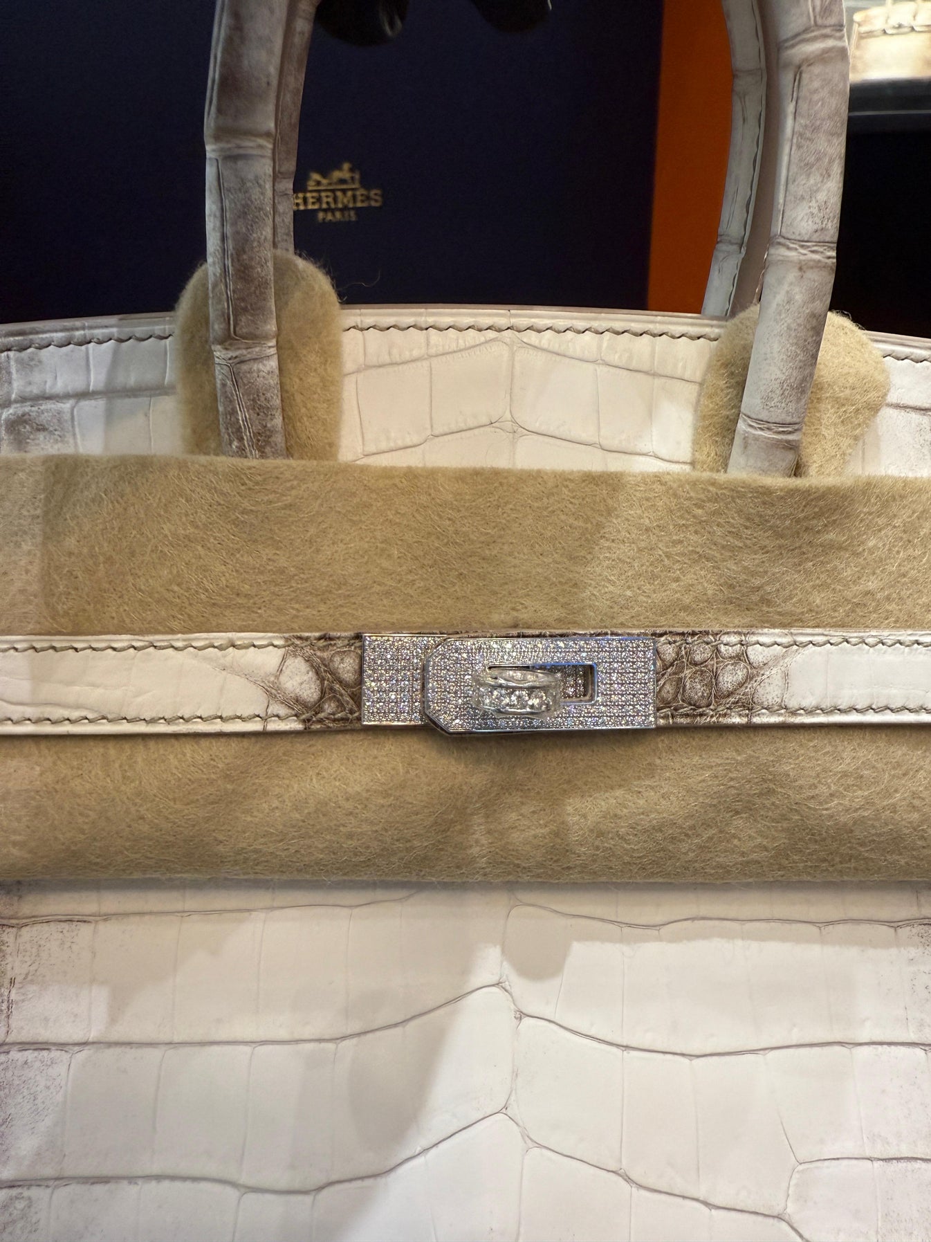 Hermès Birkin 25 Himalaya Niloticus Crocodile Gold Diamond Hardware ...